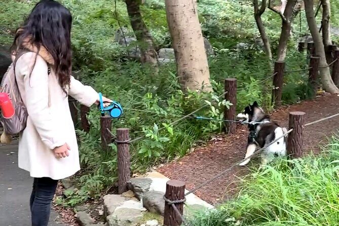 Home Cooking with a Local Host (Optional Shiba Inu Picnic) - Who Will Love It?