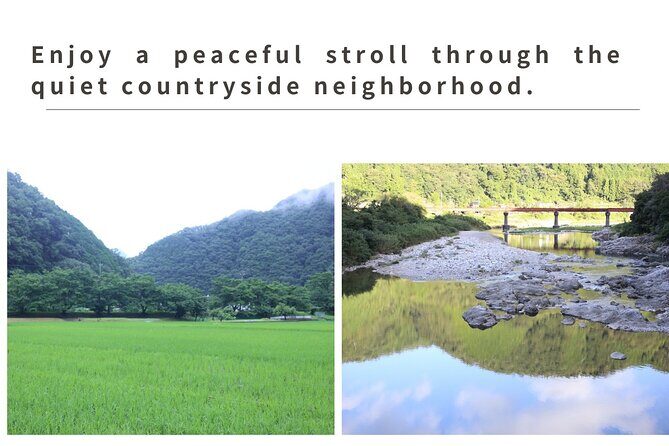 Home Experience: Tea Ceremony & Moss Garden Walk(Day trip) - Who Will Love This Tour?