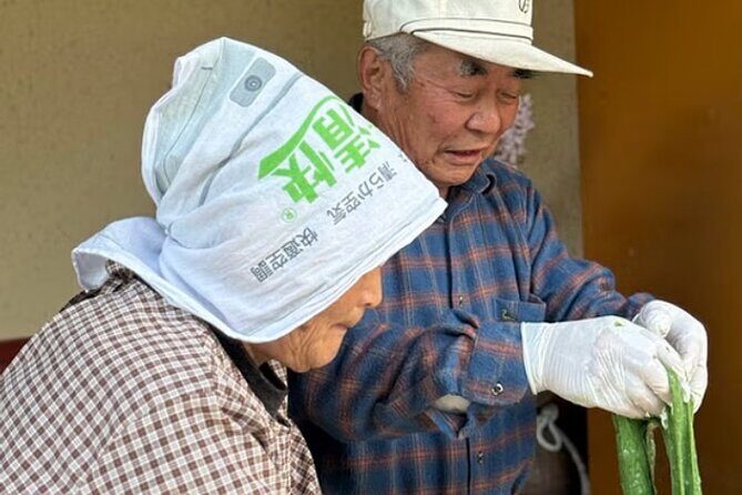 Home Visit and Mochi Pounding Experience near Kyoto - Key Points