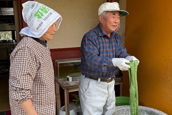 Home Visit and Mochi Pounding Experience near Kyoto - Analyzing the Value