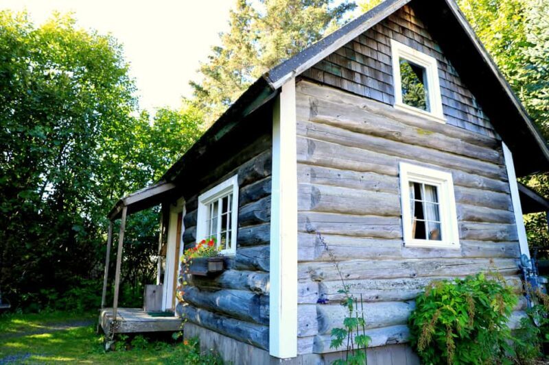 Homer: Pratt Museum Admission Ticket - Who Should Consider Visiting?