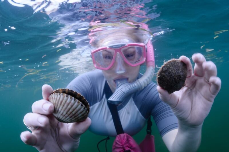 Homosassa: Snorkel & Scallop Hunt in Gulf of Mexico - The Practical Side: Cost, Equipment, and Safety
