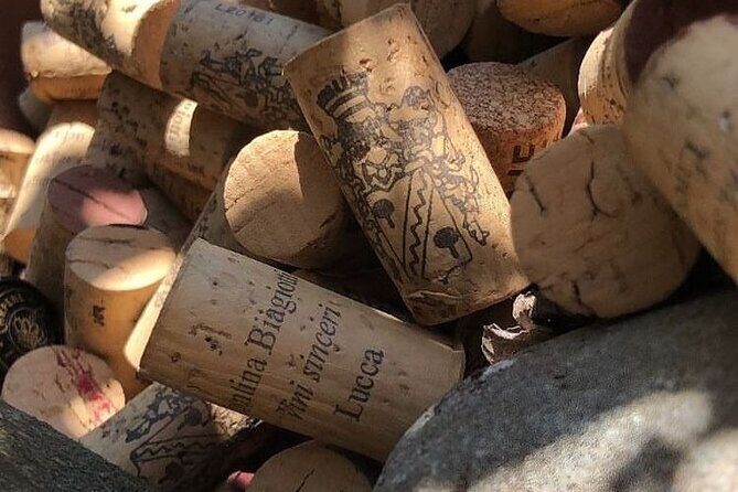 Honest Wines- Wine tasting at Cantina Biagiotti - Final Word