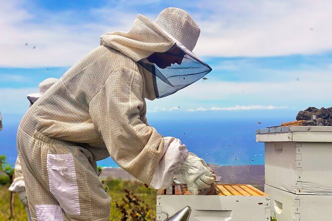 Honey Bee Adventure at the Maui Honey Bee Sanctuary - Authenticity and the Value of the Experience