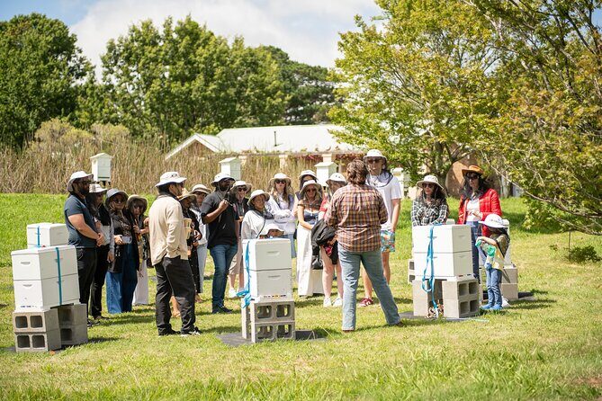 Honey Farm Tour. Morning Tea. Guided Tasting - Honey Farm Tour: A Sweet Look Into Bees and Honey