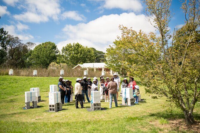 Honey Farm Tour. Morning Tea. Guided Tasting - Who Will Love This Tour?