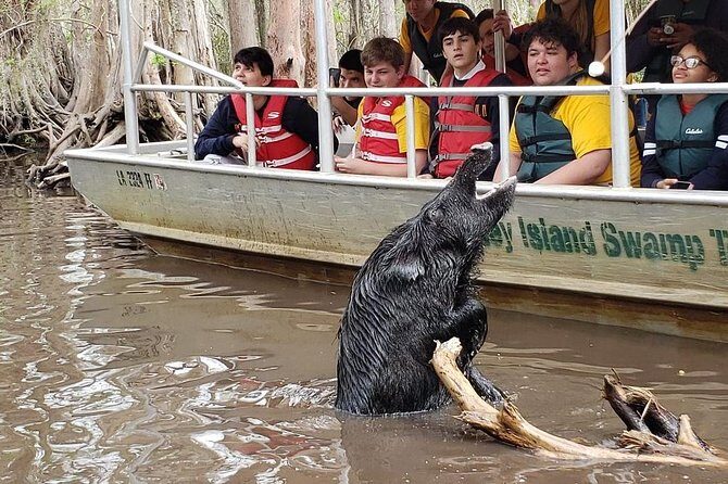 Honey Island Swamp Private Tour with Transport from New Orleans - Flexibility and Personalization