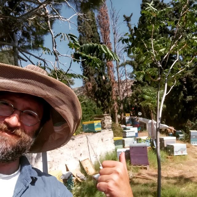 Honey tasting on Naxos Island - Who Is This Tour Best For?