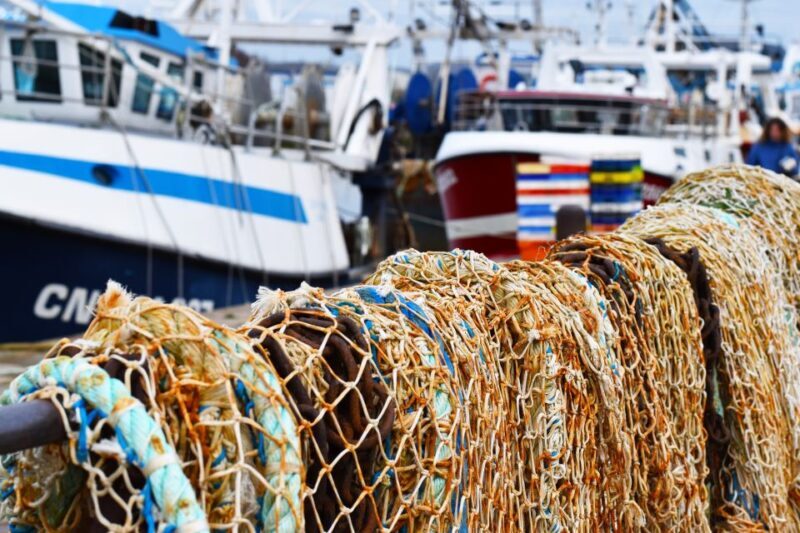 Honfleur Highlights Walking Tour - How the Tour Offers Good Value