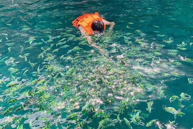 Hong island snorkeling tour from Koh Yao Noi & Koh Yao Yai - The Itinerary: What You’ll Experience