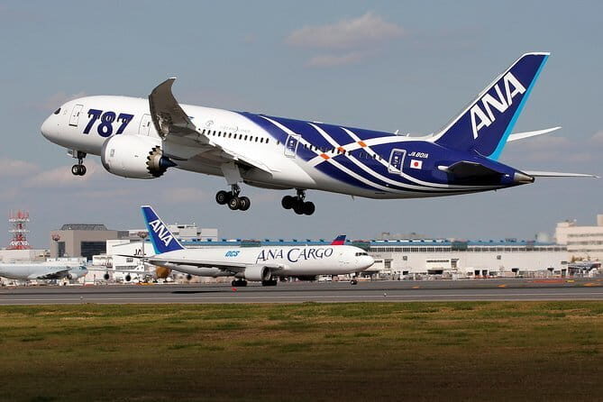 Hong Kong Airport (HKG) Transfer to Guangzhou by Toyota Alphard - Suitability for Different Travelers