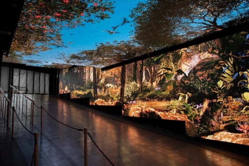 Hong Kong Day Tour: Priority Peak Tram, City Walk & Dim Sum - The Sum Up