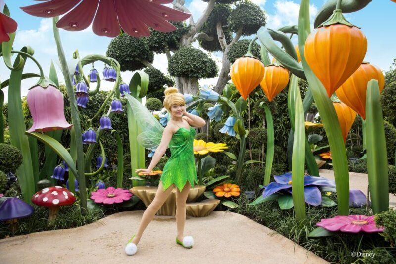 Hong Kong Disneyland Park Tickets - Who Should Consider This Experience?