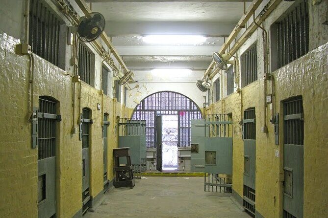 Hong Kong Full Day Tour (2024) | 150+ booked - Is the Price Justified?