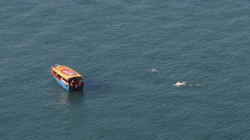 Hong Kong: Lantau Island Tour Cable Car & Village Lunch - An Authentic Day Out on Lantau Island