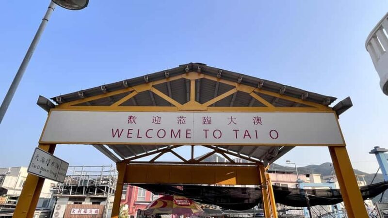 Hong Kong: Lantau Island Tour Cable Car & Village Lunch - Celebrating Local Flavors with a Seafood Lunch