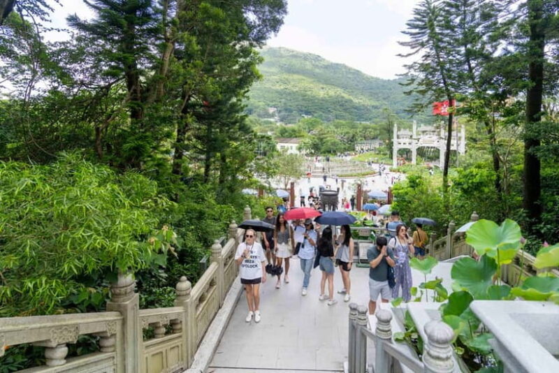 Hong Kong: Lantau VIP Priority Cable Car, Big Buddha & Tai O - Key Points