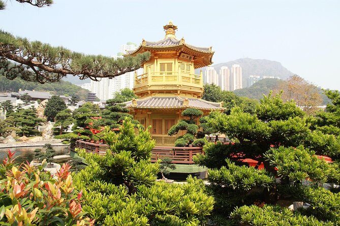 Hong Kong Layover Tour with a Local: 100% Personalized & Private - Practical Details and Value