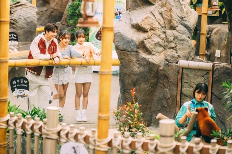 Hong Kong: Ocean Park Entry Ticket + Local Style Set Meal - Key Points