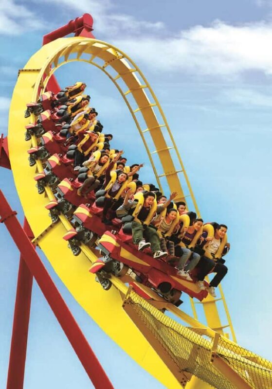 Hong Kong: Ocean Park Entry Ticket + Local Style Set Meal - Exploring Ocean Park: What You Can Expect