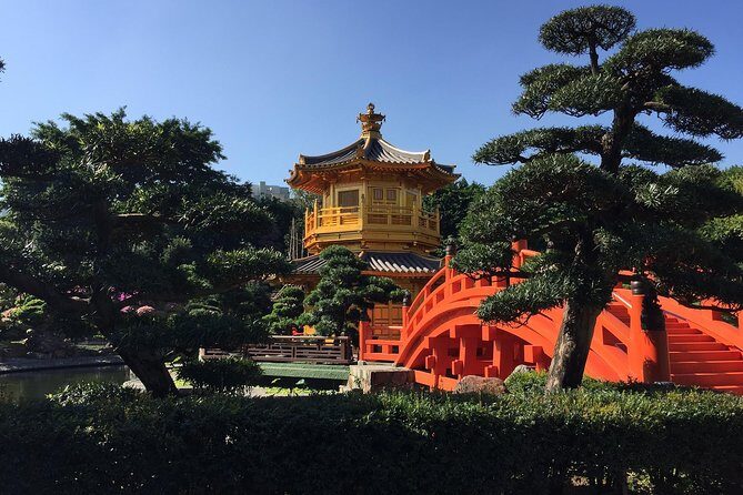 Hong Kong Private Tours by Locals: 100% Personalized, See the City Unscripted - Authenticity and Review Highlights