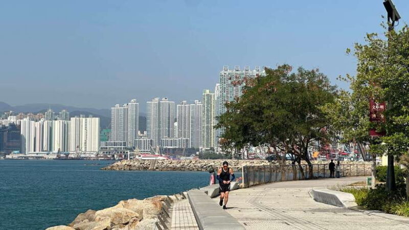 Hong Kong: Wong Tai Sin Temple and Victoria Harbour Tour - A Deep Dive Into the Tour Experience