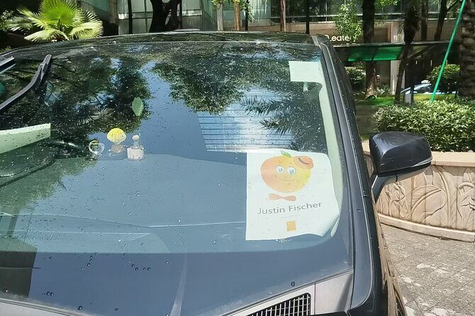 Hongkong Kowloon station to hotel/ HKG airport : Pvt, Meet& Greet - Who Should Consider This Service?