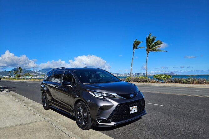 Honolulu Airport, Cruise Port and Waikiki hotels Private Transfer - The Practicality of a Private Transfer