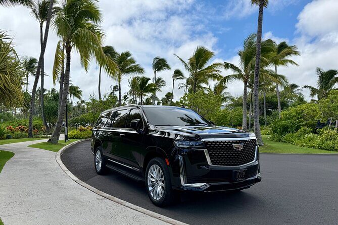 Honolulu Airport Transfer to Waikiki, Kahala & Cruise Ship Port - Who Should Consider This Service?