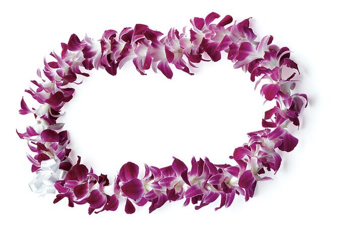 Honolulu Airport: Waikiki Private Transfer With Lei Greeting - Key Points