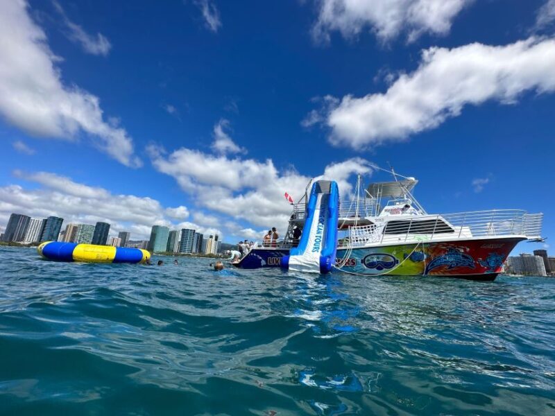 Honolulu: Deluxe Waikiki Snorkel and Wildlife Cruise - Honolulu: Deluxe Waikiki Snorkel and Wildlife Cruise — A Detailed Review