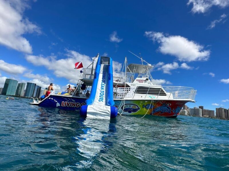 Honolulu: Deluxe Waikiki Snorkel and Wildlife Cruise - Key Points
