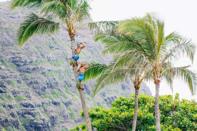 Honolulu: Ka Moana Luau Dinner and Show with Transportation - The Farm-to-Table Buffet
