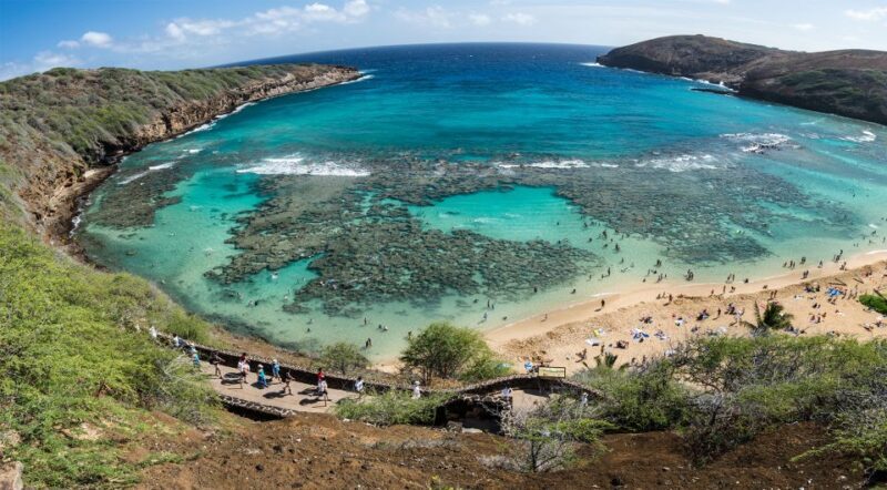 Honolulu: Oahu Island Highlights Tour with Multiple Stops - Value and Cost Analysis