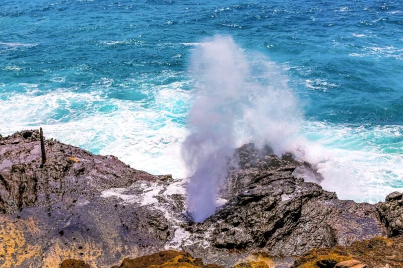 Honolulu: Oahu Sights and Bites Island Tour - An In-Depth Look at the Itinerary