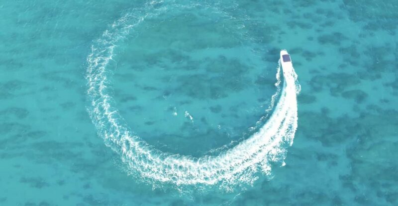 Honolulu: Private Waikiki Boat Cruises for up to 6 People - The Bottom Line