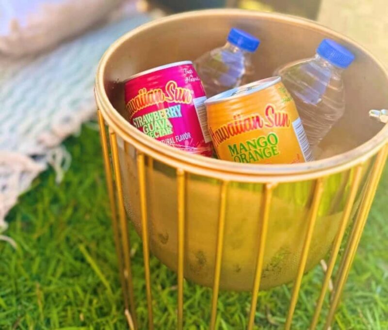 Honolulu: Secluded Beachside Luxury Picnic & Painting - What Makes This Experience Special?