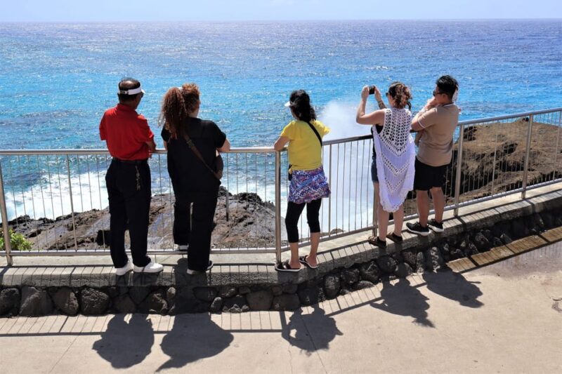 Honolulu: Stunning Views of Oahu! Half-day Scenic Tour - Who Should Consider This Tour?