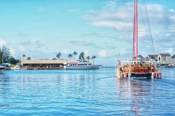 Honolulu Sunset Sail from Kewalo Harbor Including Drinks - FAQ