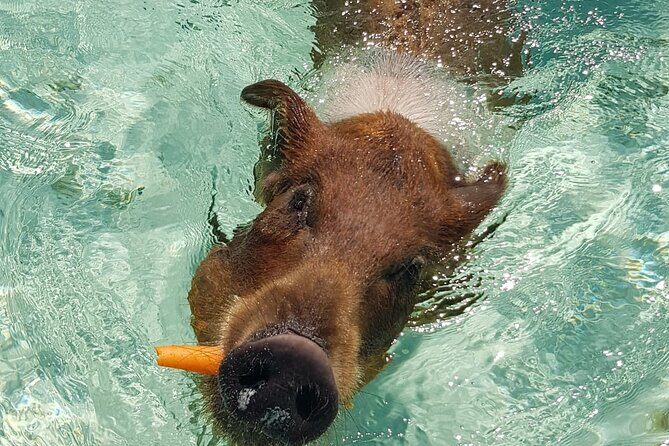 Honor Roll Private Bahamas Boat Charter - Meeting Points & Logistics