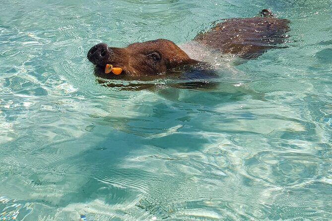 Honor Roll Private Bahamas Boat Charter - Authentic Guest Experiences