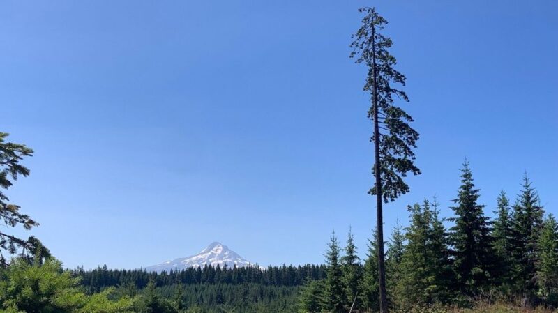 Hood River: All-Day E-Bike Rental - Discovering Hood River on Two Wheels: What You Can Expect