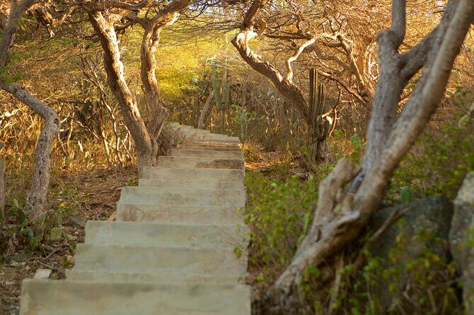Hooiberg Hill Hike (Sunrise, Sunset, Night) - What It’s Like to Climb Hooiberg Hill