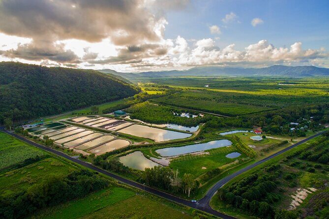 Hook-A-Barra Fishing and Farm Activity - An In-Depth Look at the Experience