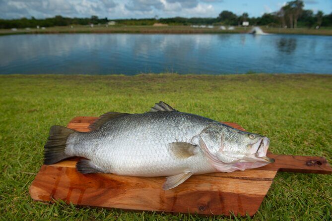 Hook-A-Barra Fishing and Farm Activity - FAQ