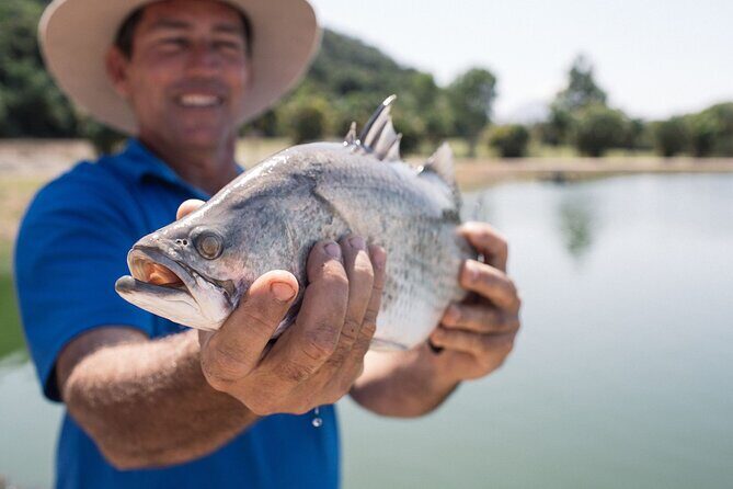 Hook-a-Barra Gourmet Farm Tour - Introduction: What to Expect from the Hook-a-Barra Gourmet Farm Tour