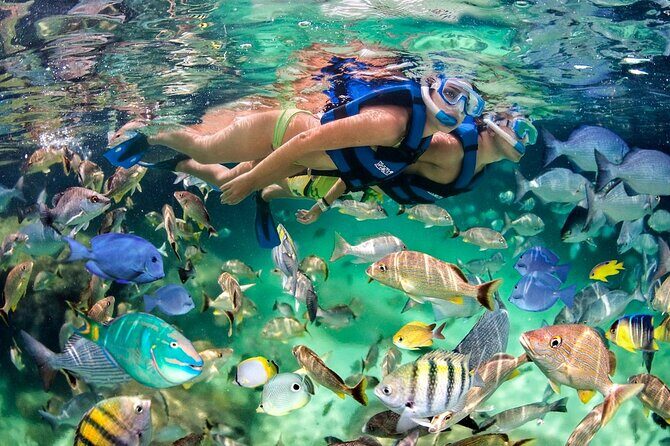 Hookah Diving, Snorkel, Parasail & Party - Bavaro Combo Adventure - Duration & Timing