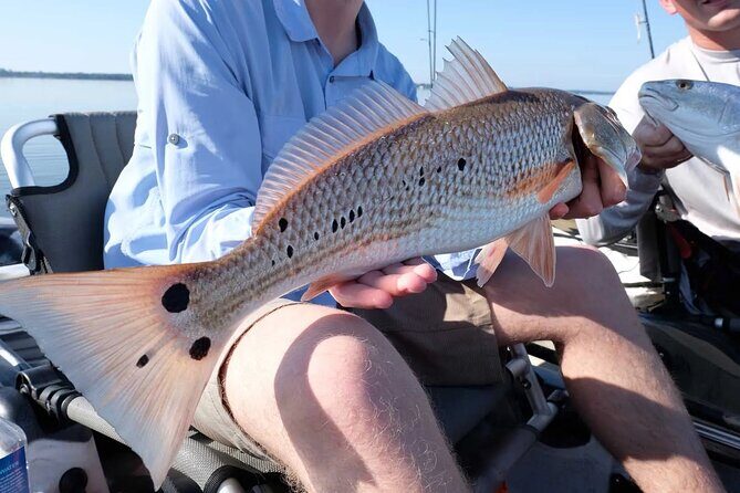 Hooked on the Bayou: New Orleans Kayak Fishing Trips - An Introduction to the "Hooked on the Bayou" Experience