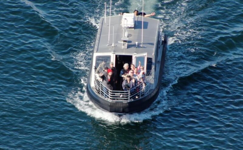 Hoonah: Icy Strait Whale Watch with Drone Filmography - The Sum Up