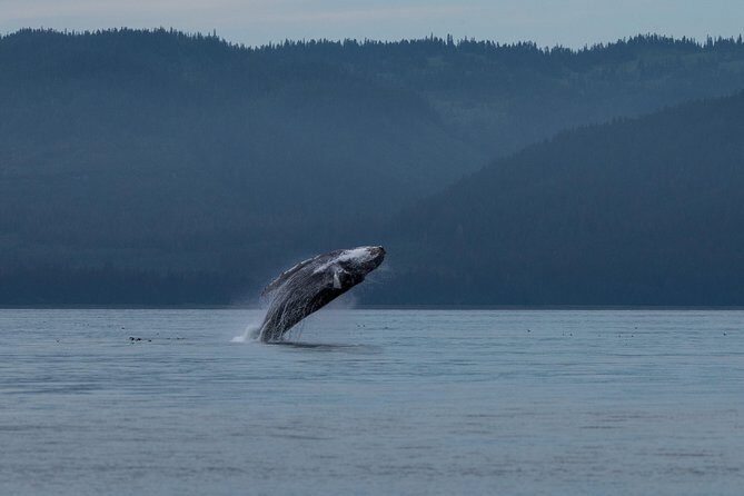 Hoonah Whale Tours - Setting the Scene in Hoonah, Alaska